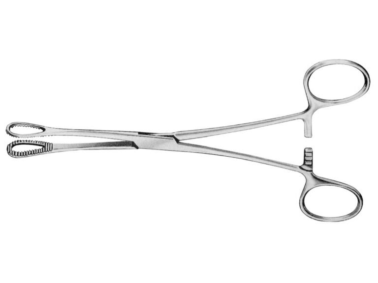 PINZA FORESTER RECTA ANILLOS 20 CM HERGOM PREMIUM – Insumos Médicos ...
